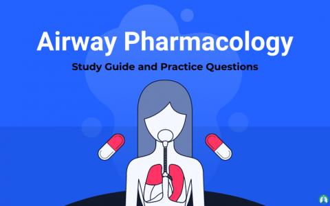 Airway Pharmacology: Study Guide and Practice Questions