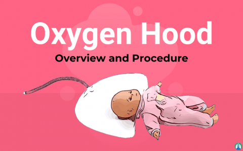Oxygen Hood Setup for Infants (Step by Step Guide)