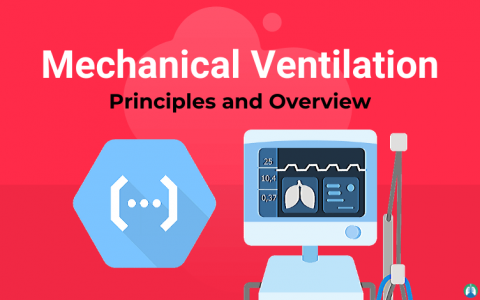 Basic Principles of Mechanical Ventilation: Overview and Study Guide