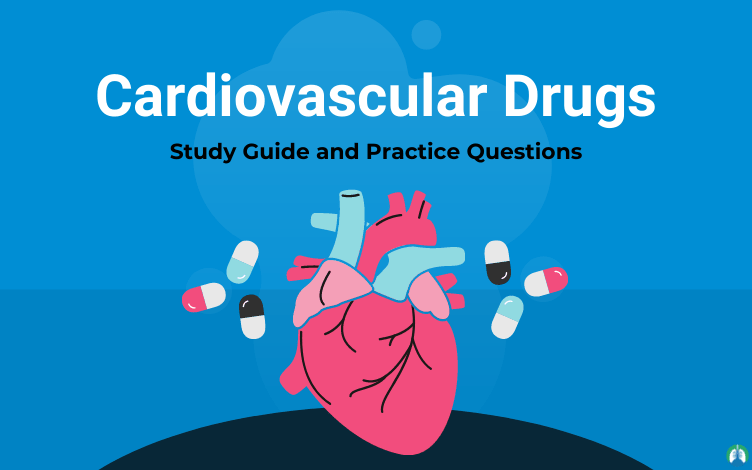 Cardiovascular Drugs: Overview, Study Guide, and Practice Questions