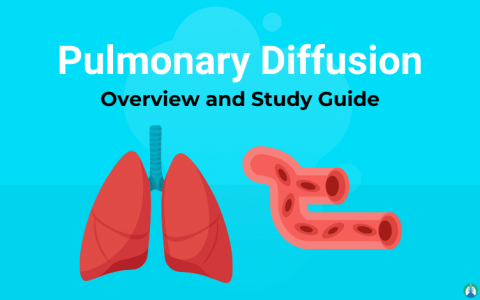 Pulmonary Diffusion Capacity: Overview and Study Guide