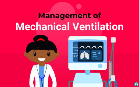 Mechanical Ventilator Management: Study Guide and Practice Questions