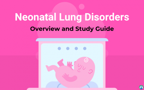 Neonatal Respiratory Disorders: Study Guide and Practice Questions
