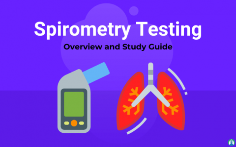 Spirometry Testing: What is a Spirometer? (2022 Overview)