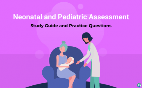 Neonatal and Pediatric Patient Assessment (Study Guide)