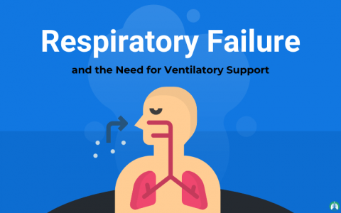 Respiratory Failure: Overview, Study Guide, and Practice Questions
