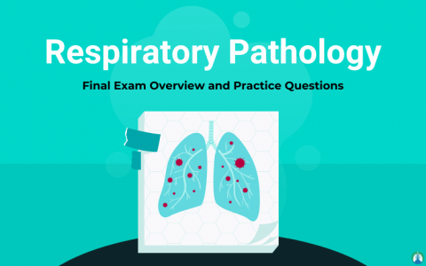 Respiratory Pathology Final Exam: Study Guide and Practice Questions