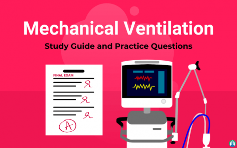 Mechanical Ventilation Final Exam (Study Guide and Practice Questions)