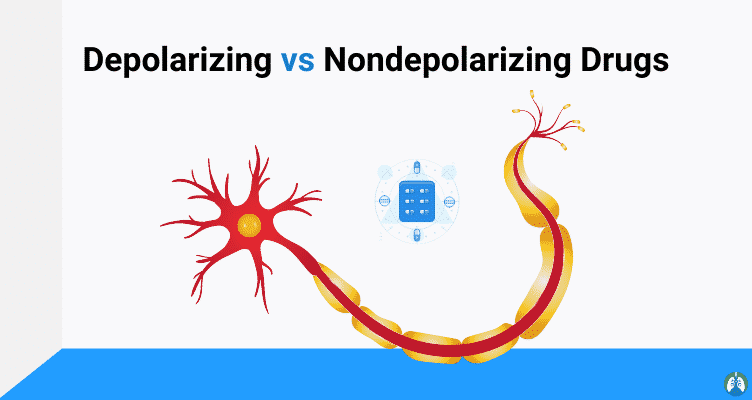 Neuromuscular Blocking Agents: Depolarizing vs Non-depolarizing Drugs