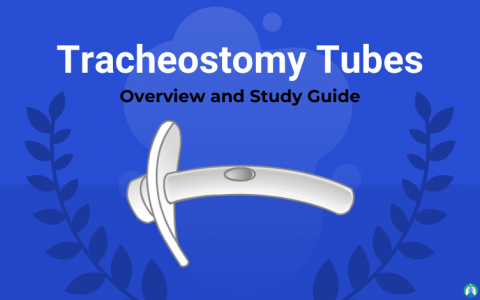 Tracheostomy Tubes: Overview, Types, Indications, and Risks