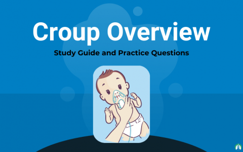 Croup: Overview, Study Guide, and Practice Questions