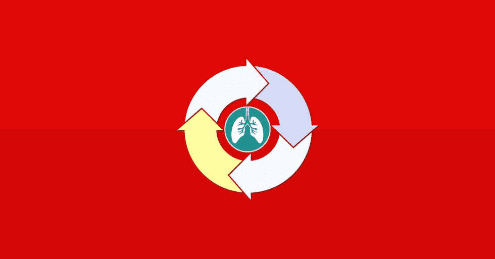 Gas Exchange: Overview and Practice Questions