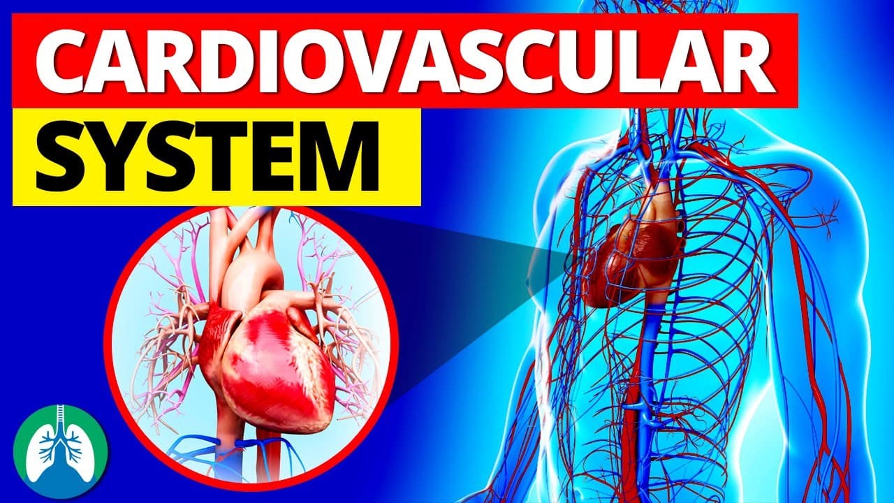 Circulatory System Powerpoint 5th Grade