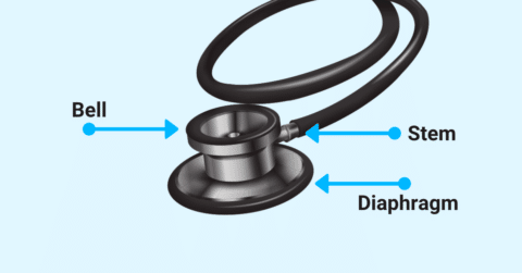 The 7 Parts of a Stethoscope Labeled: An Overview (2025)