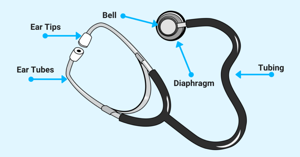 The 7 Parts of a Stethoscope Labeled: An Overview (2026)
