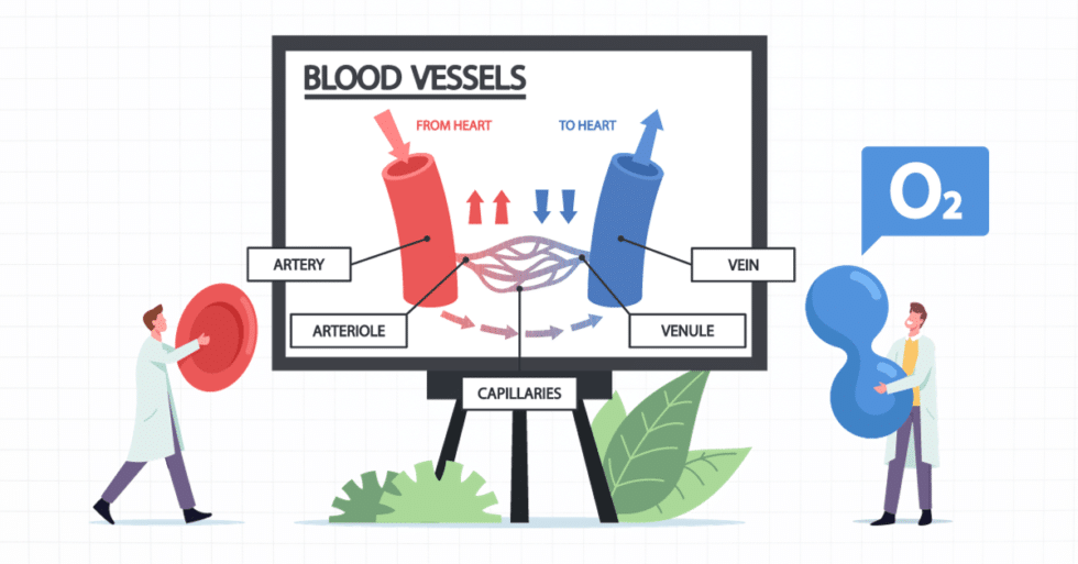 Shock: Overview and Practice Questions (2025)