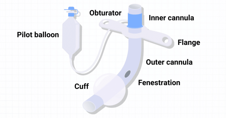 Tracheostomy Tubes: Types, Indications, and Risks (2023)