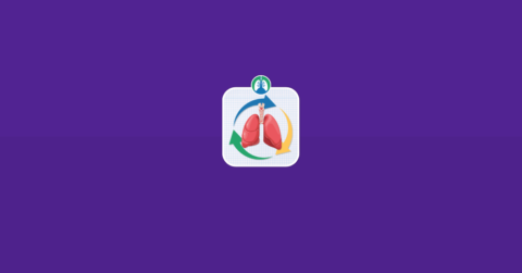 Fetal Lung Development: Overview and Practice Questions