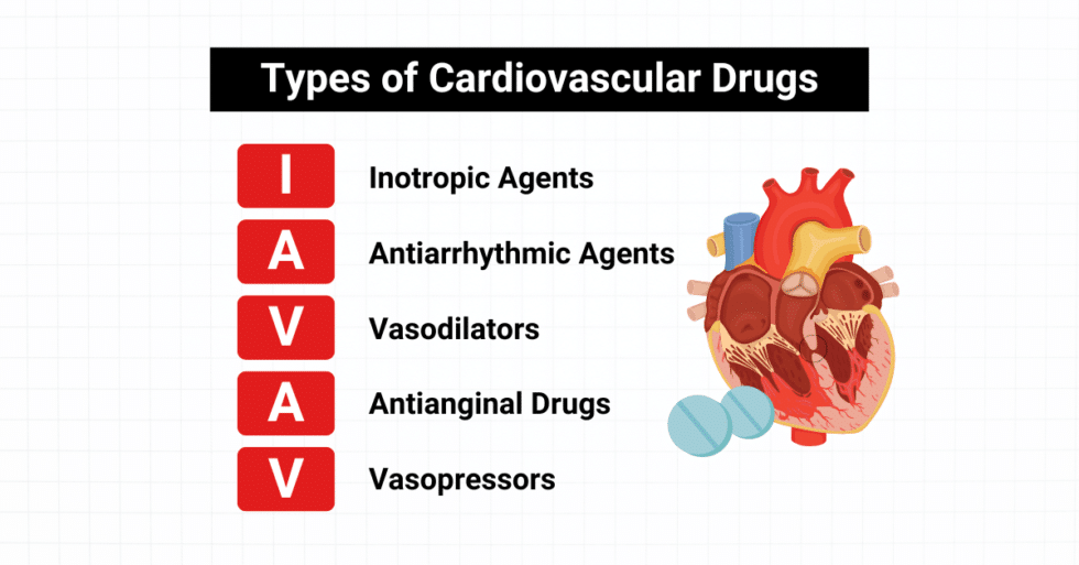 Cardiovascular Drugs: Overview and Practice Questions (2025)