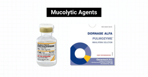 Mucolytic Agents: Overview and Practice Questions (2025)