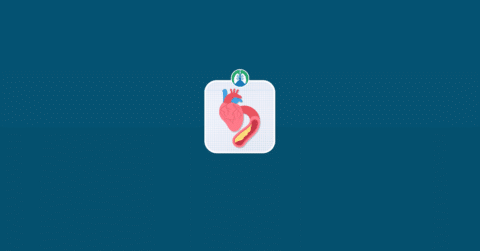 Ventilator Weaning After Coronary Artery Bypass Graft (CABG)