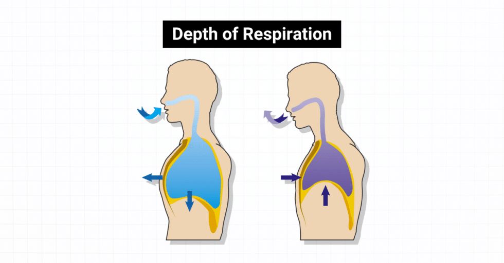 The Best Way to Determine the Depth of Respiration (2025)
