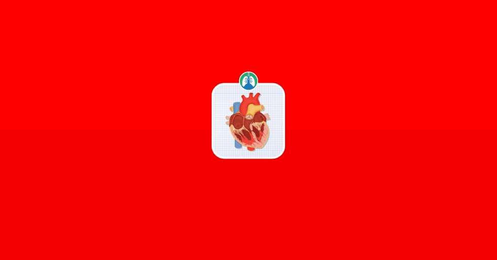 Cardiovascular System: Overview and Practice Questions