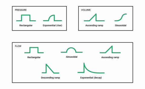 Ventilator Waveforms and Graphics: An Overview (2025)