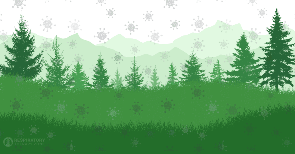 Cedar Fever: Causes, Symptoms, and Relief Strategies (2025)