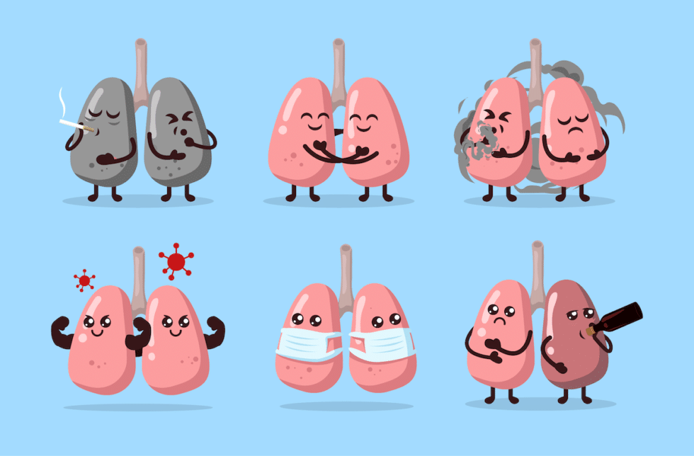 67+ Surprising Fun Facts About the Respiratory System (2024)