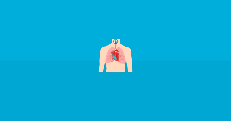 List of 97+ Cardiopulmonary Diseases You Should Know (2023)