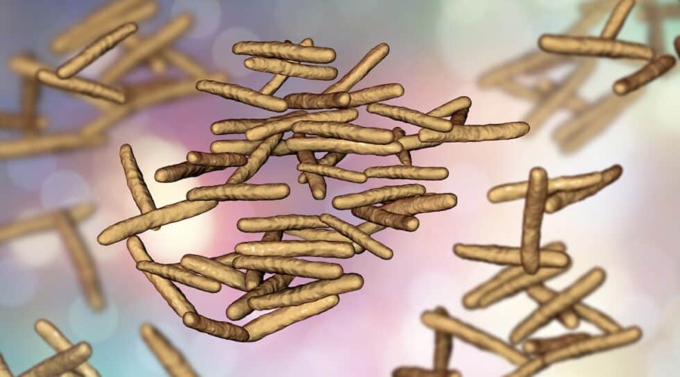 What is Hot Tub Lung? - Explained (2025)