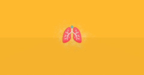 13+ Ways to Clear Your Lungs After Inhaling Dust (2024)