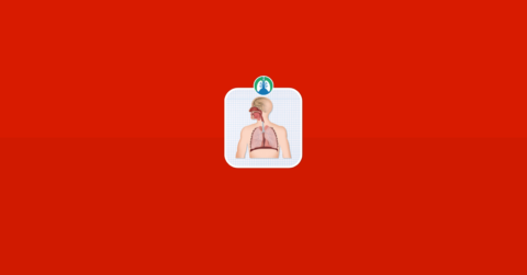 What are the Accessory Muscles of Breathing? (2026)