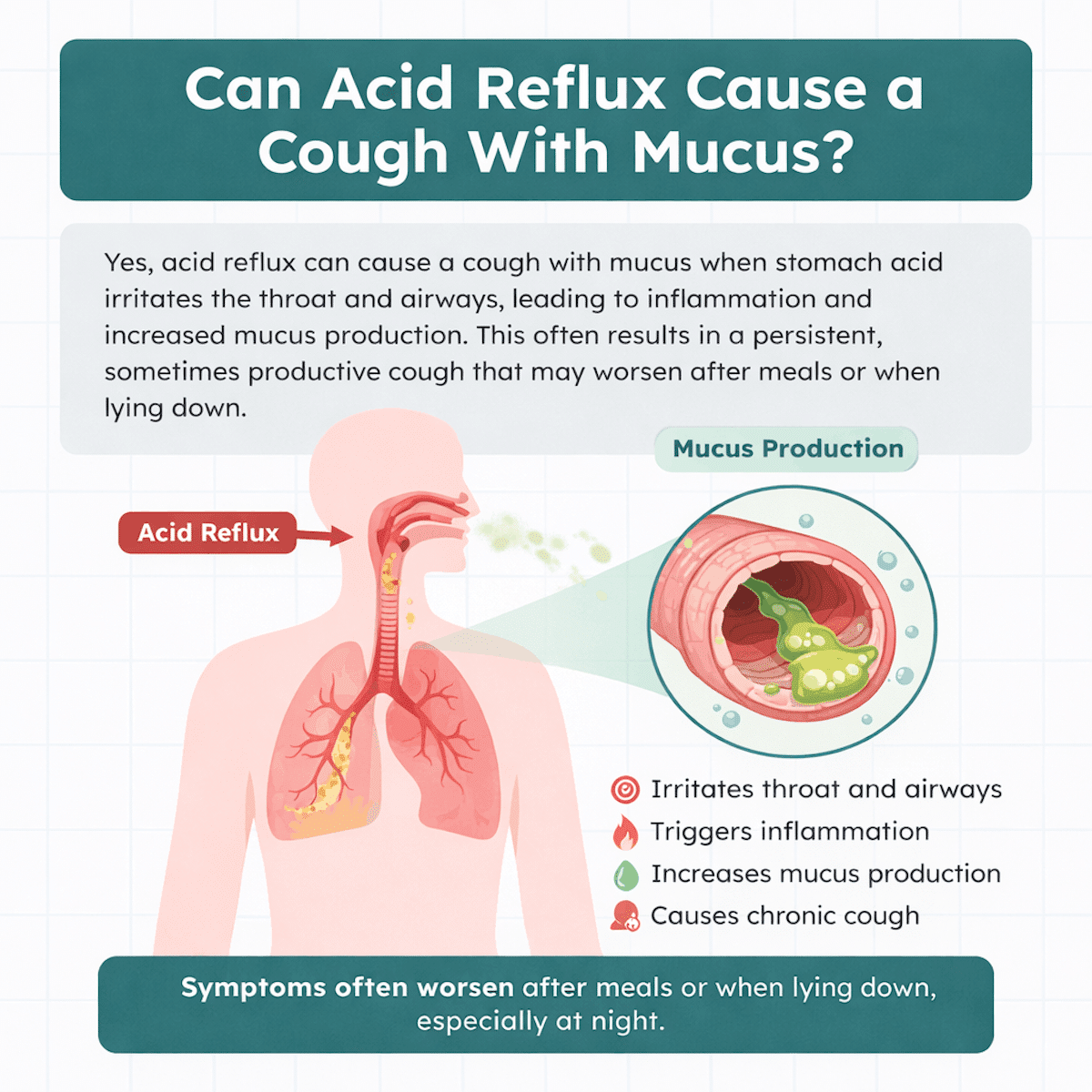 Can Acid Reflux Cause a Cough With Mucus? (2026)