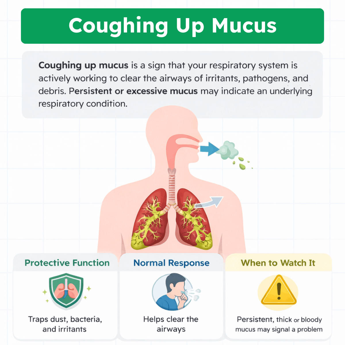 Coughing Up Mucus: Signs, Causes, and Treatment Options