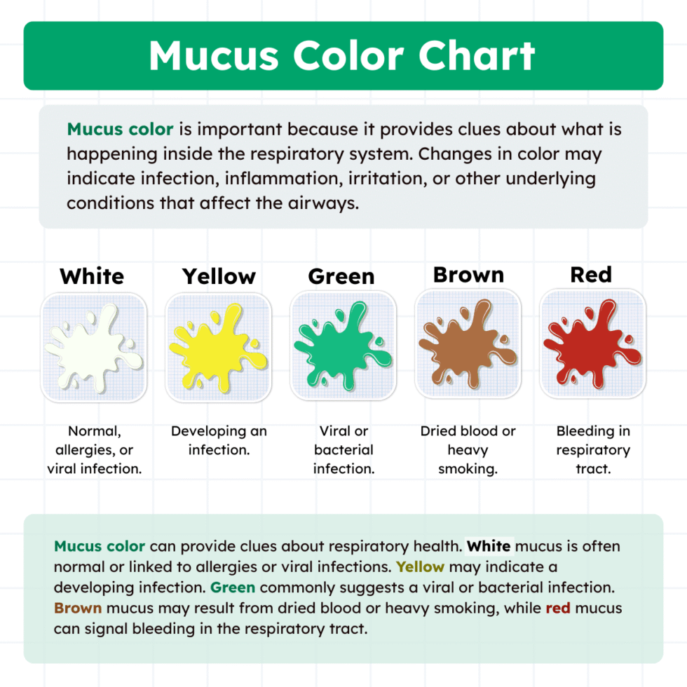 Mucus: Causes, Colors, Symptoms, and What It Means (2026)