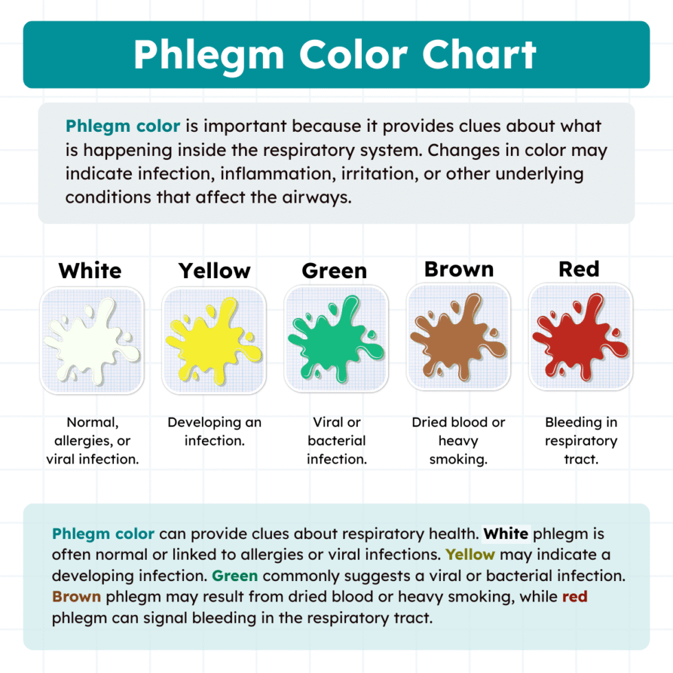 Phlegm: Causes, Colors, Symptoms, and What It Means (2026)