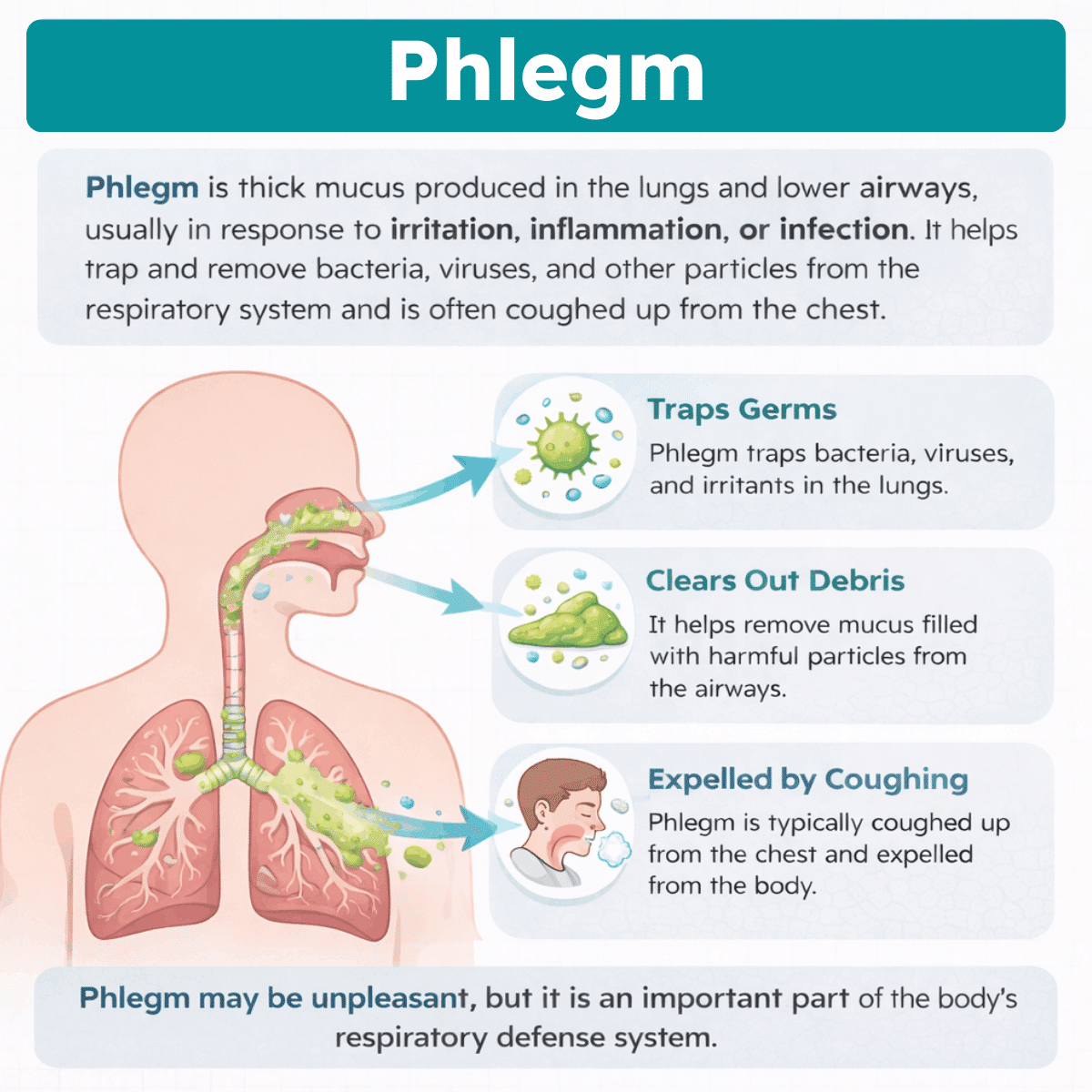 Phlegm: Causes, Colors, Symptoms, and What It Means (2026)