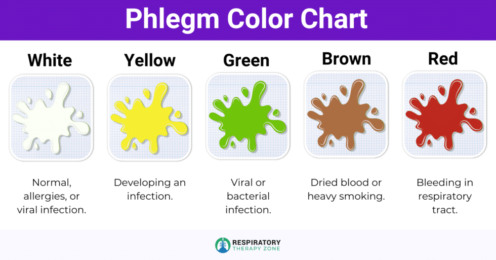 Phlegm: Definition, Colors, Causes, and Conditions (2026)