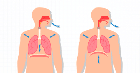 Respiratory Distress vs. Failure vs. Arrest (2026)
