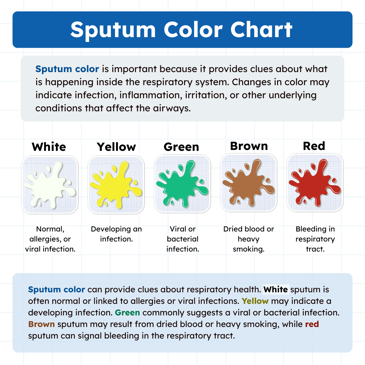 Sputum: Causes, Colors, Symptoms, and What It Means (2026)