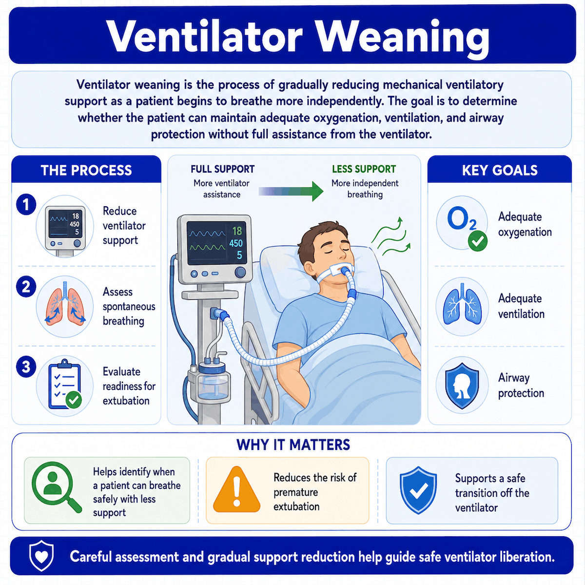 Ventilator Weaning: Steps, Criteria, and Key Concepts