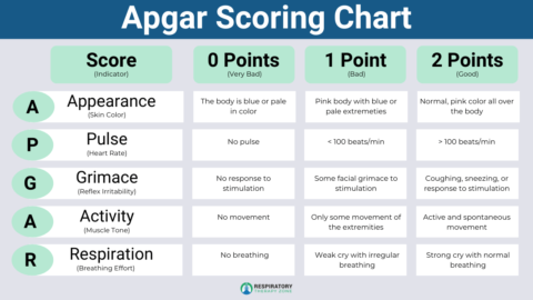 Apgar Score: Overview and Practice Questions (2025)
