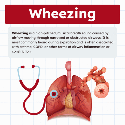Wheezing (Lung Sound): Overview and Practice Questions