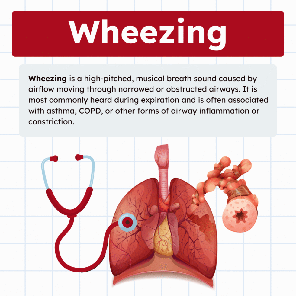 Wheezing Lung Sound Overview And Practice Questions Wheezing Lung Sound Overview And Practice Questions