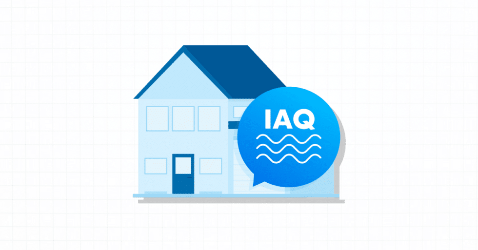 Indoor Air Quality and Lung Health: An Overview (2024)