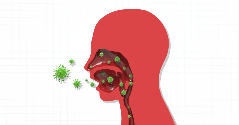 Airborne Particles and the Lungs: An Overview (2025)