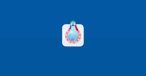 Respiration: Overview, Process, and Clinical Importance