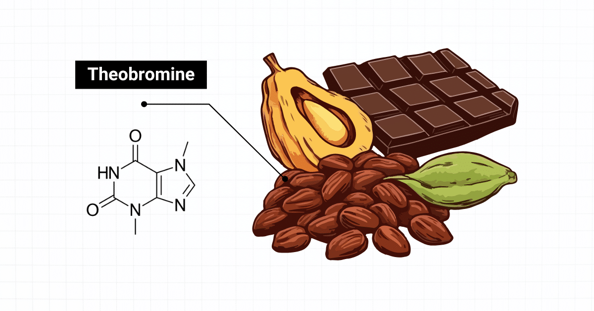 Why Does Chocolate Make Me Cough? (2025)